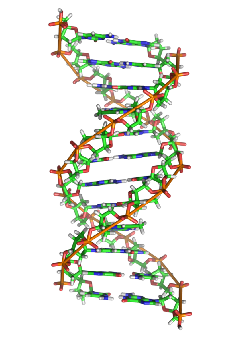 22. A Poem Written in Hydroxyapatite: How a Little Bone Revealed a ...